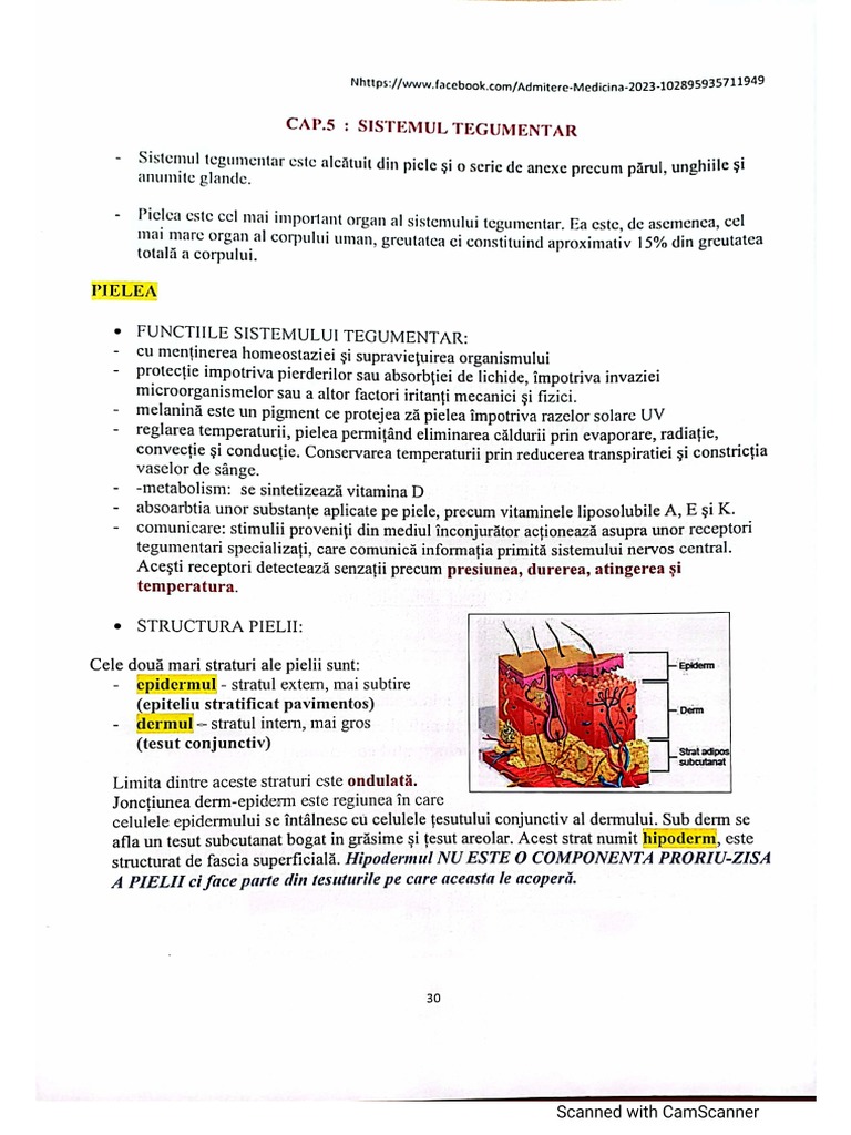 Sinteze Barron's | PDF