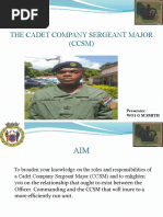 Company Commander Duties Overview | PDF