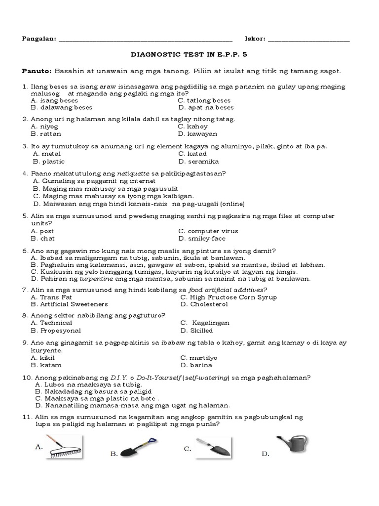 Diagnostic Test in EPP 5 | PDF