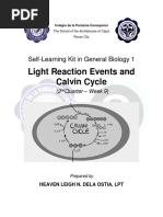 Calvin's Lollipop Experiment Explained | PDF | Photosynthesis ...
