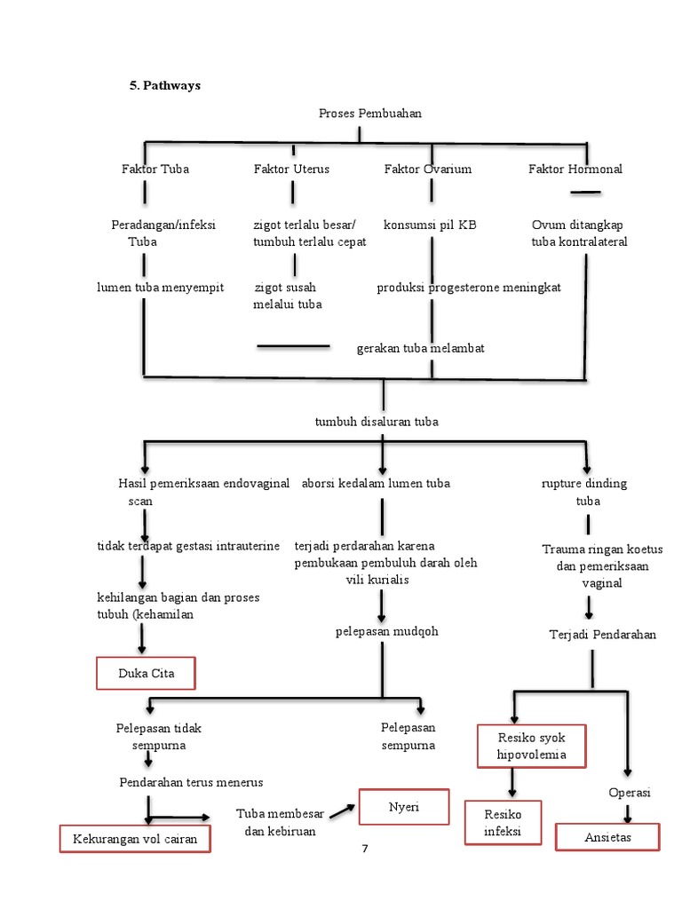 Pathway Kehamilan Ektopik | PDF