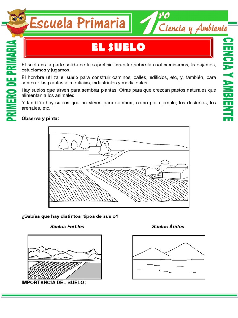 El Suelo para Primero de Primaria | PDF | Suelo | Agua