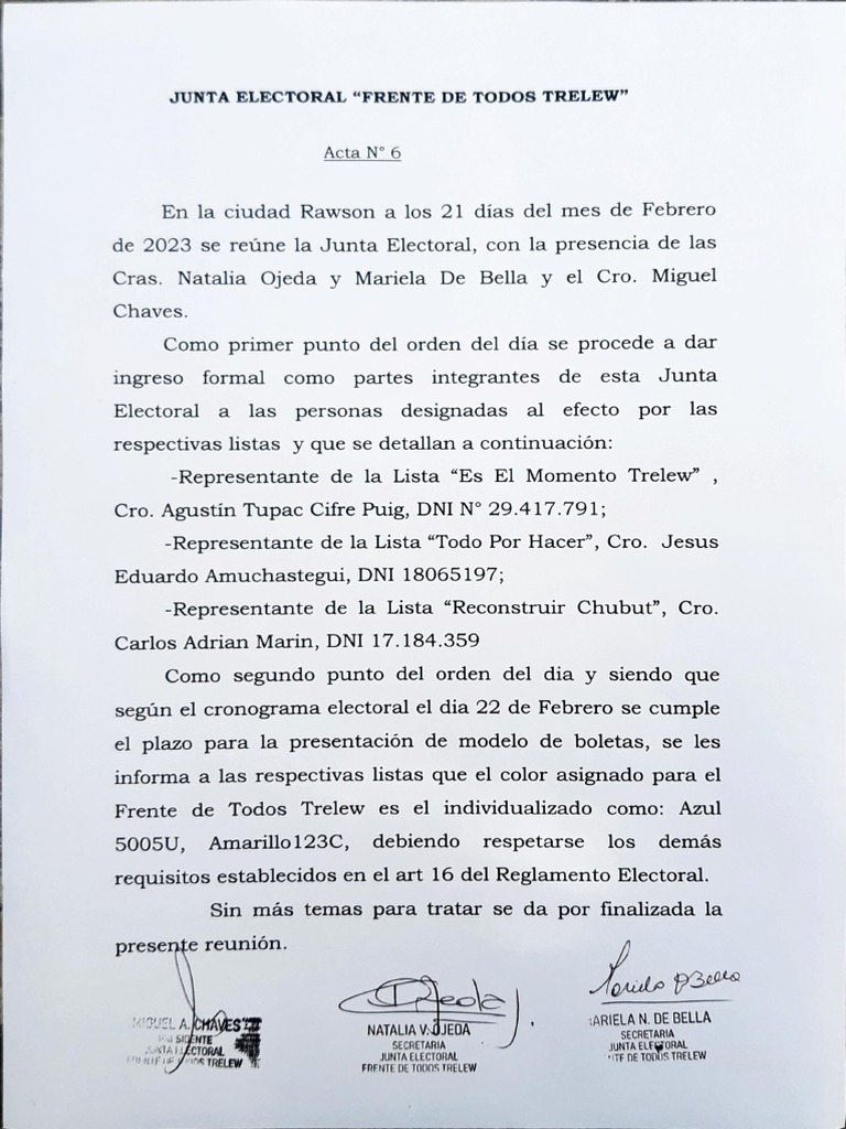 Acta #06 - Junta Electoral Frente de Todos Trelew | PDF | Gobierno | América del Sur