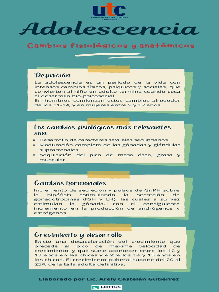 Infografía Adolescencia - Cambios Físicos y Anatómicos | PDF