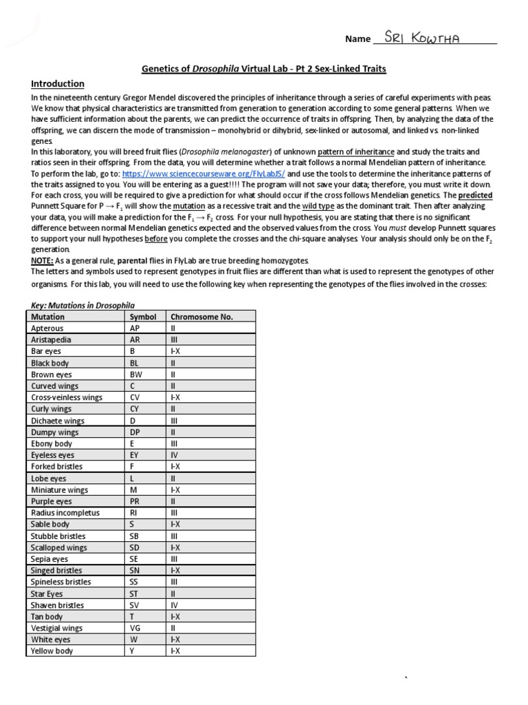 Genetics Of Drosophila Part Ii Sex Linked Traits Pdf Genetics Heredity