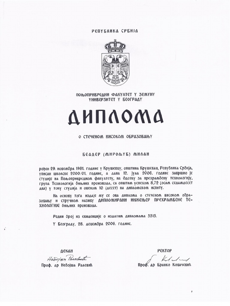 Diploma Milan Beader | PDF