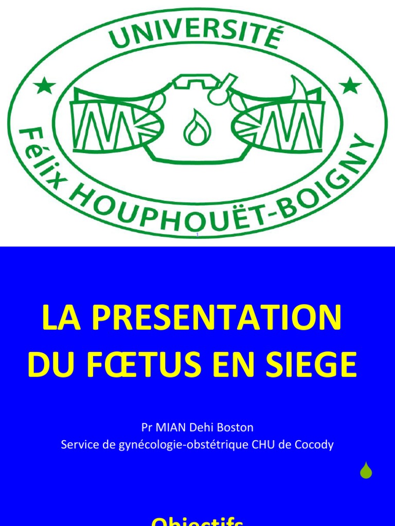 Presentation Du Siège 2018-2019 | PDF | Accouchement | Utérus