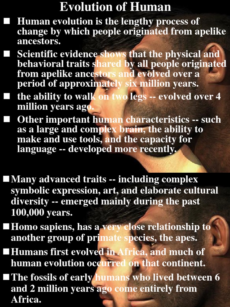 Human Evolution: From Apes to Sapiens | PDF | Homo | Human Evolution