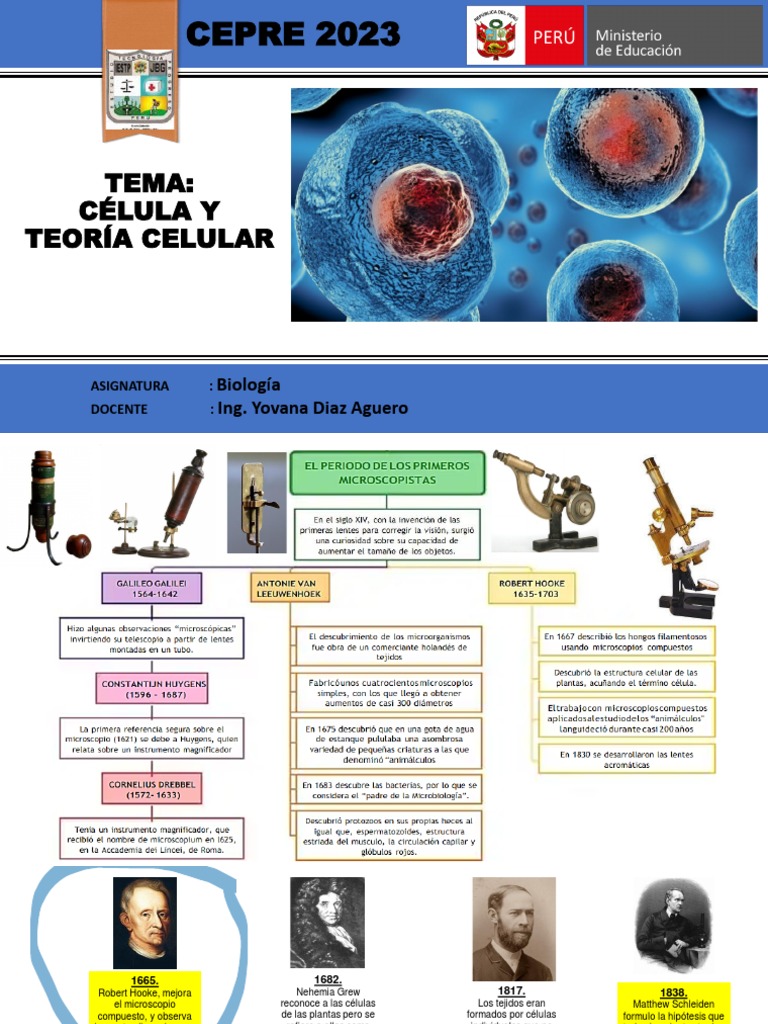 Teoria Celular Y La Celula Pdf Citoplasma Biología Celular
