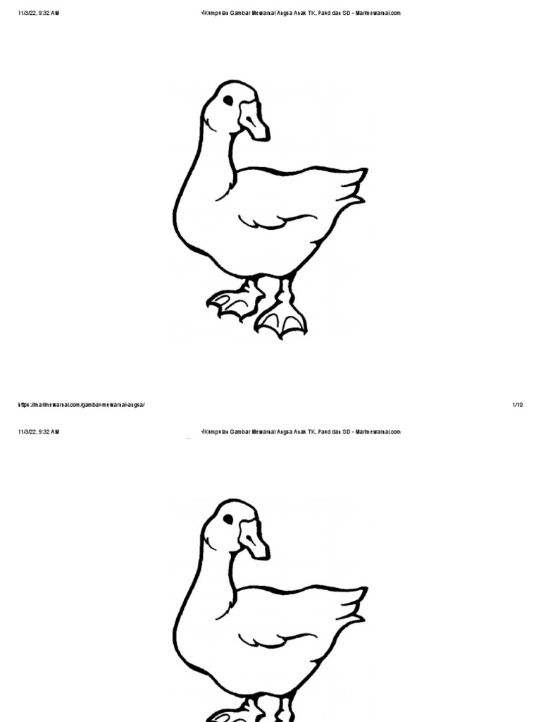 Kumpulan Gambar Mewarnai Angsa Anak Tk Paud Dan Sd Pdf