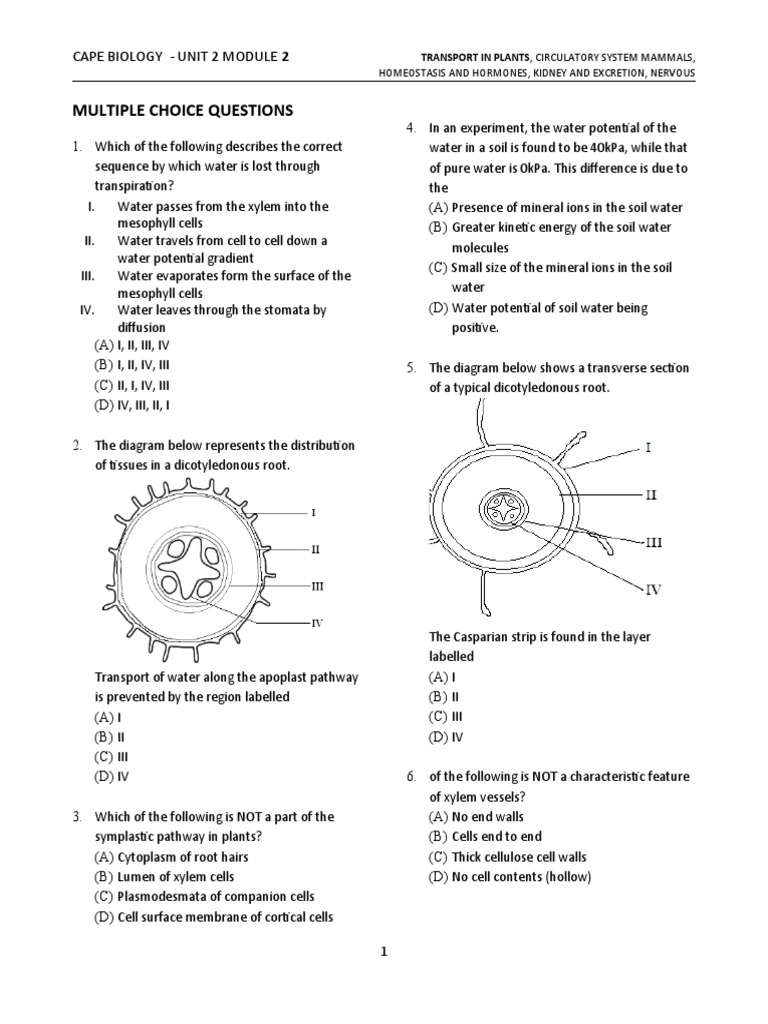 Cape Biology Unit 2 Module 2 MCQ | PDF | Chemical Synapse | Diastole