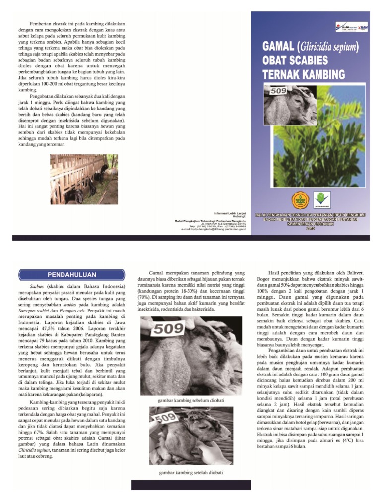 Ternak Obat Scabies Kambing | PDF