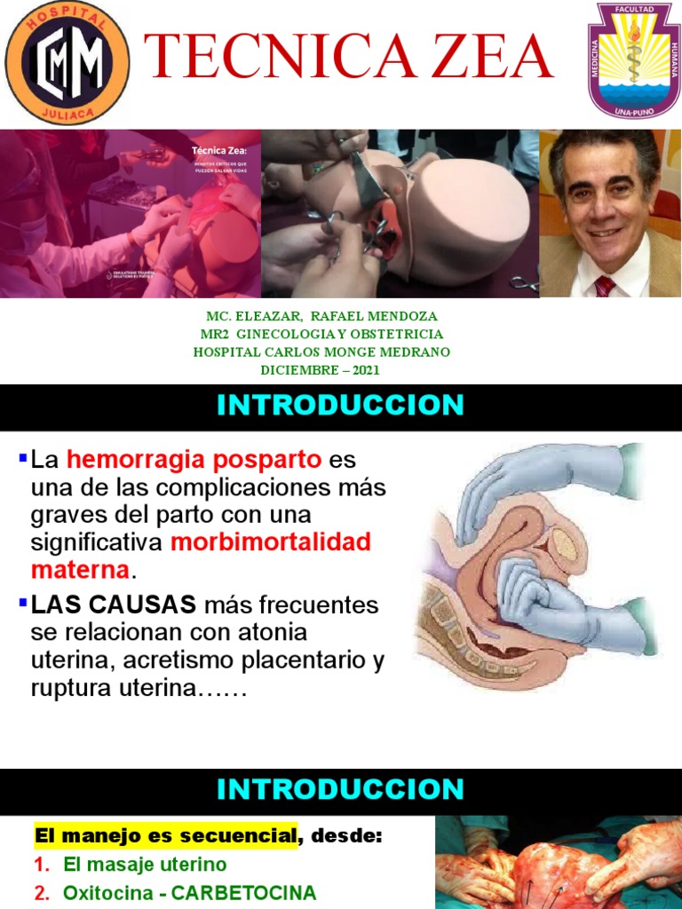 Tecnica Zea-Prado 12 - 2021 | PDF | Cuidado de la salud | Embarazo humano