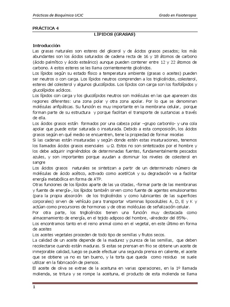 Práctica 4 Lípidos Pdf Lípido Aceite De Oliva