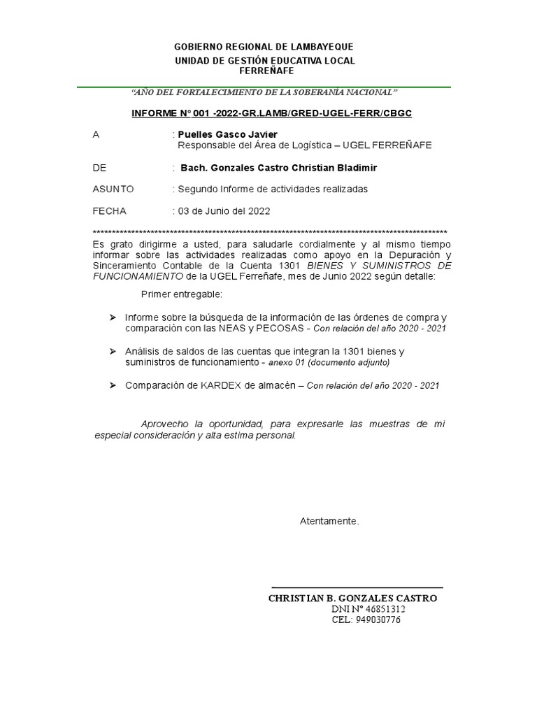 INFORME Primer ENTREGABLE | PDF | Contabilidad | Industrias de servicio