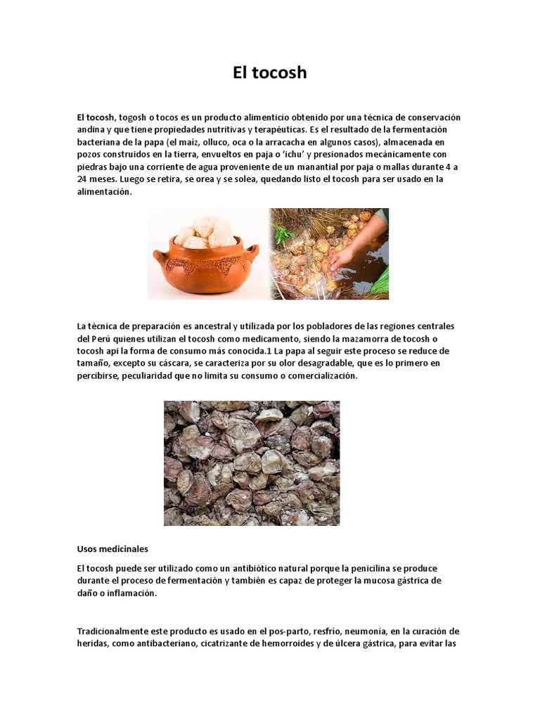 El Tocosh | PDF | Comida y bebida | Alimentos