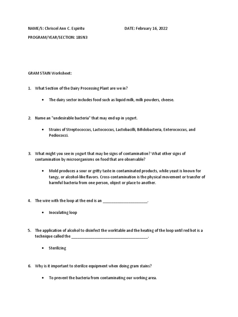 GRAM STAIN Worksheet | PDF | Staining | Microbiology