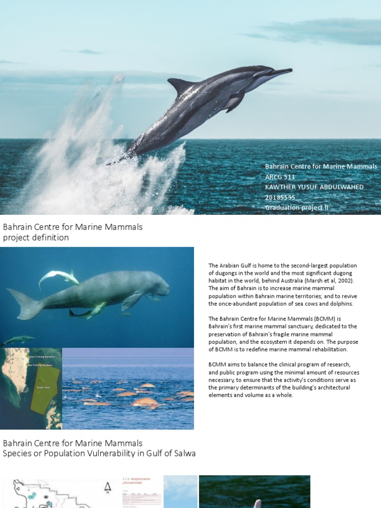 Reviving the Sea: The Bahrain Centre for Marine Mammals' Efforts to ...