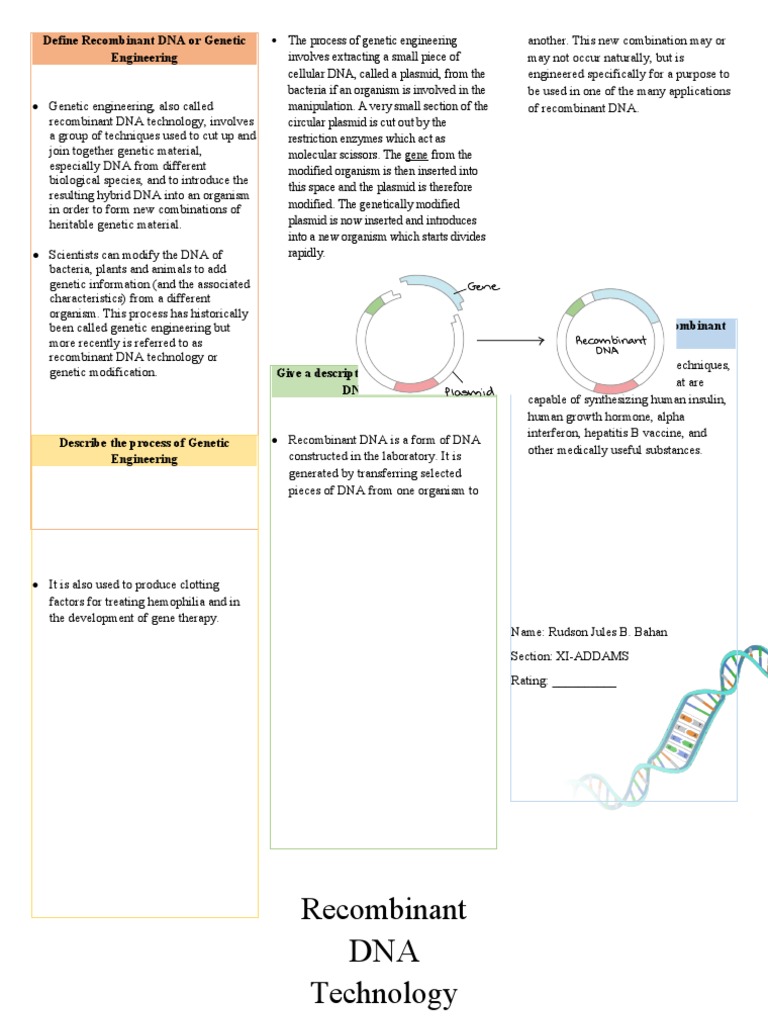 Recombinant DNA2.0 | PDF | Genetic Engineering | Recombinant Dna