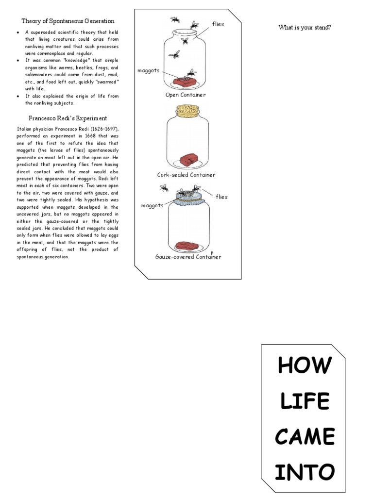 Theory of Spontaneous Generation | PDF