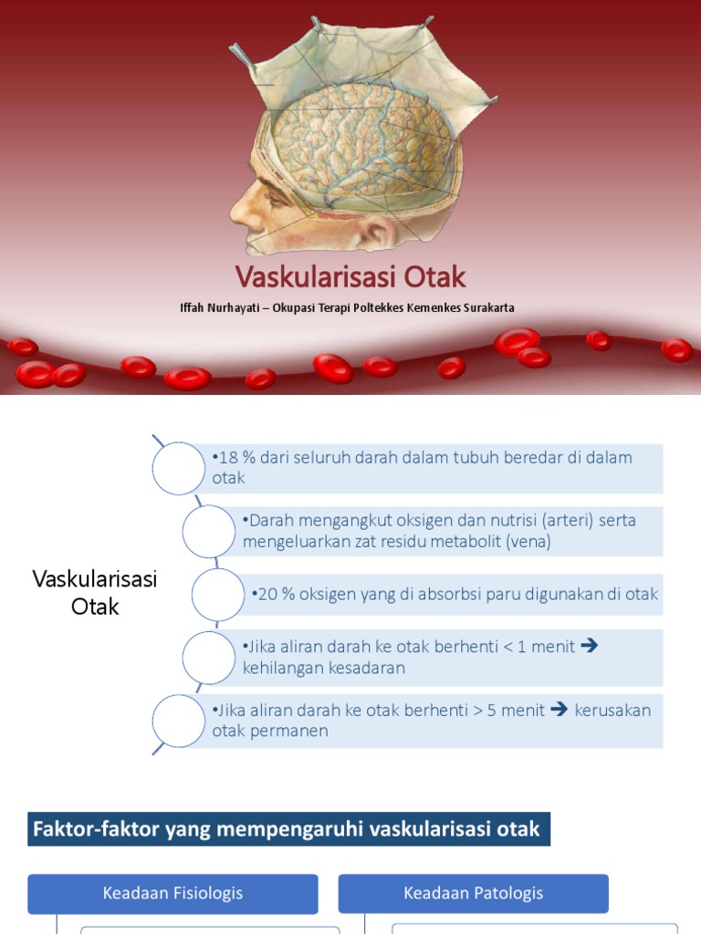 Vaskularisasi Otak | PDF