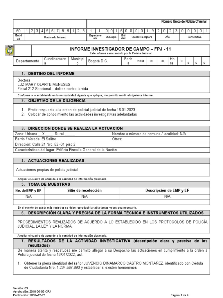 FPJ 11 Informe Investigador de Campo v3 | PDF | Policía | Seguridad nacional