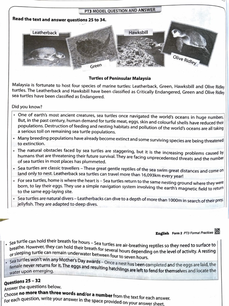 Form 2 Exercise Reading Comprehension | PDF