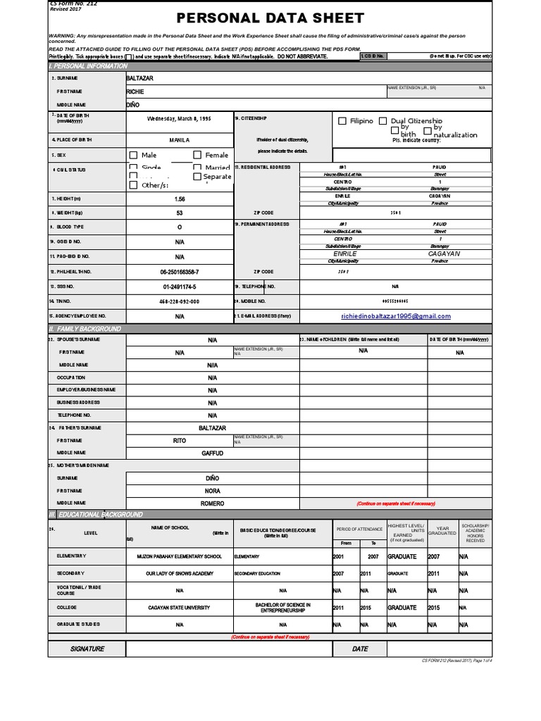 Richie DepEd PDS | Download Free PDF | Government