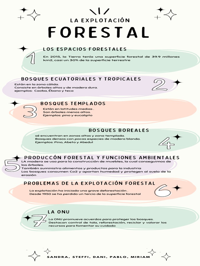 Infografia Explotación Forestal | PDF