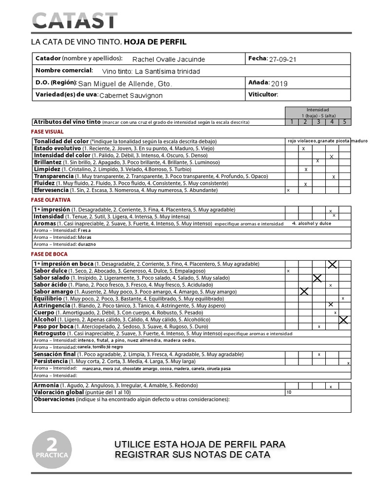 Ficha de Cata de Vino Tinto | PDF | Vino | Rojo