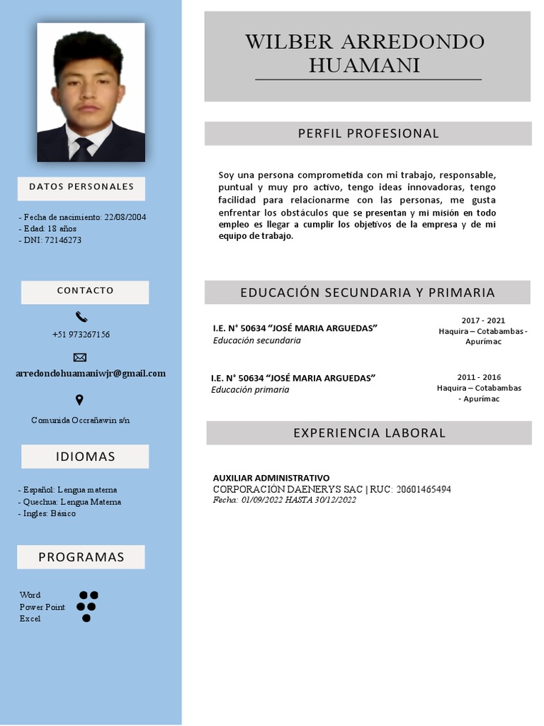 Perfil Profesional de Wilber Arredondo | PDF