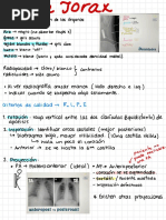 Protocolo Blue | PDF | Enfermedades y trastornos | Neumología
