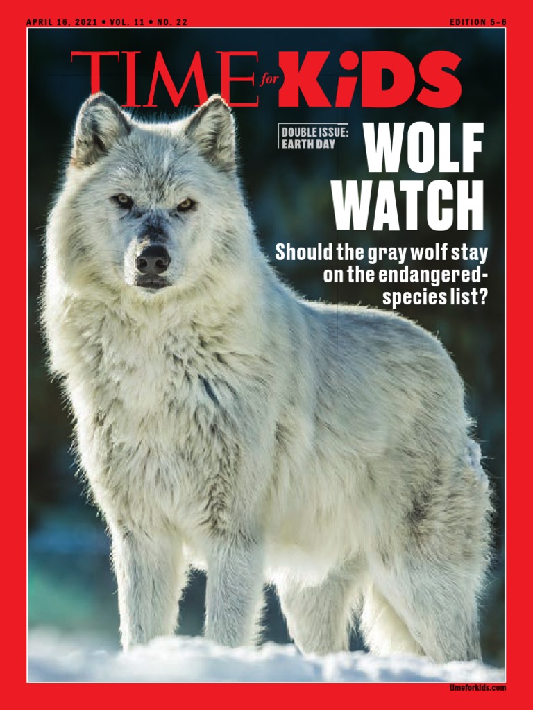 WP Contentuploads202104sample Magazine PDF | PDF