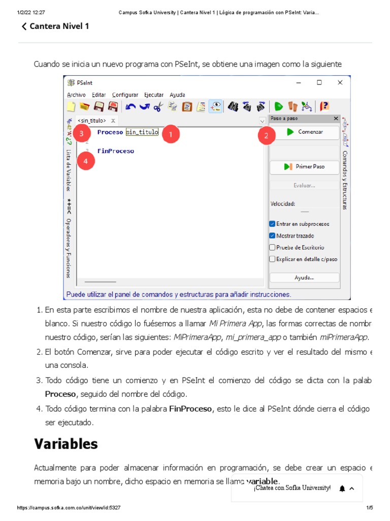 Introducción a las variables y su uso en PSeInt | PDF | Variable (informática) | Informática