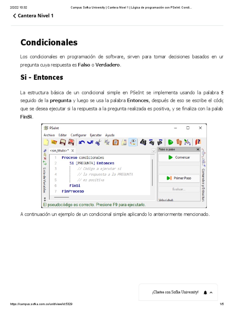 Condicionales y Operadores en PSeInt | PDF | Programación de ...