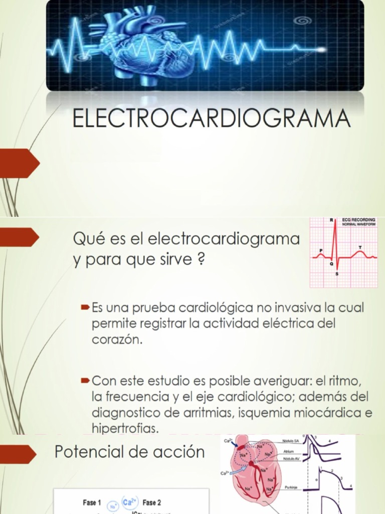 Electrocardiograma Normal | PDF