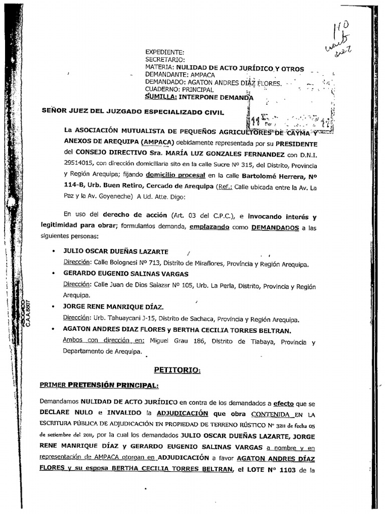 16534-2018 Nulidad Acto Juridico | PDF | Nulo (ley) | Judicaturas