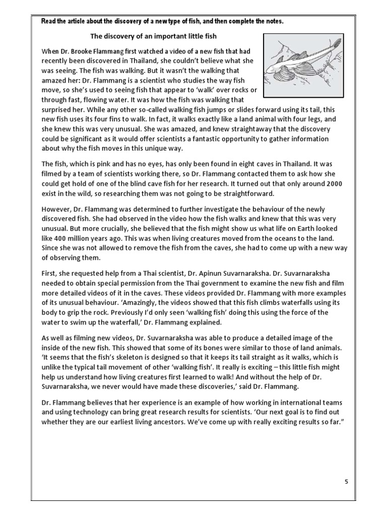 Read The Article About The Discovery of A New Type of Fish, and Then ...