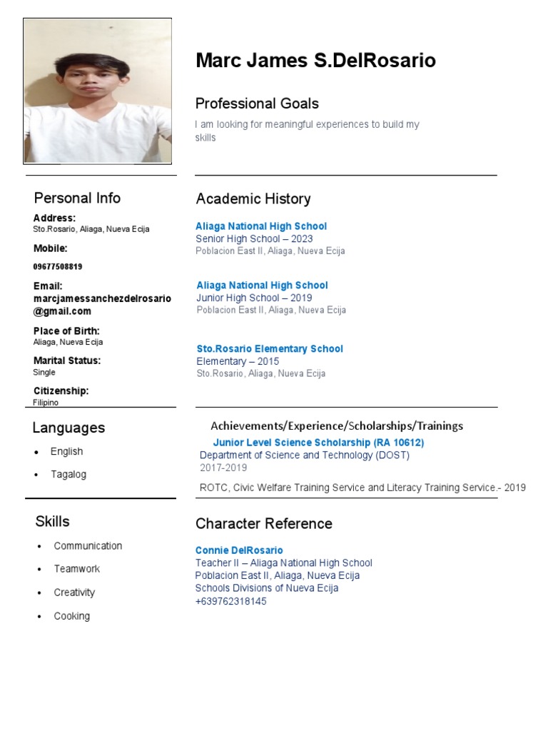 Resume Format 12 TVL 2023 | PDF