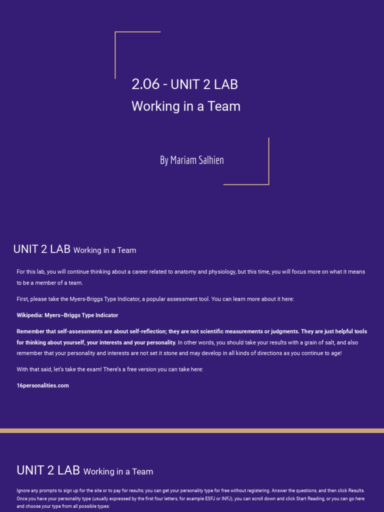 2.06 - UNIT 2 LAB Working in A Team Dropbox-PZ Mariam Salhien | PDF | Personality Type | Thought
