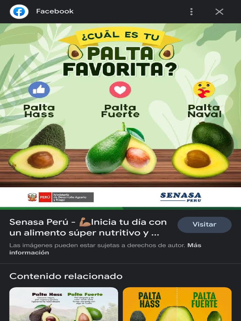 Palta Fuerte - Buscar Con Google | PDF