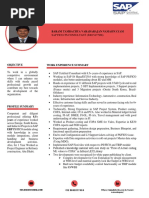 SAP Project Budgeting Guide | PDF | Economies