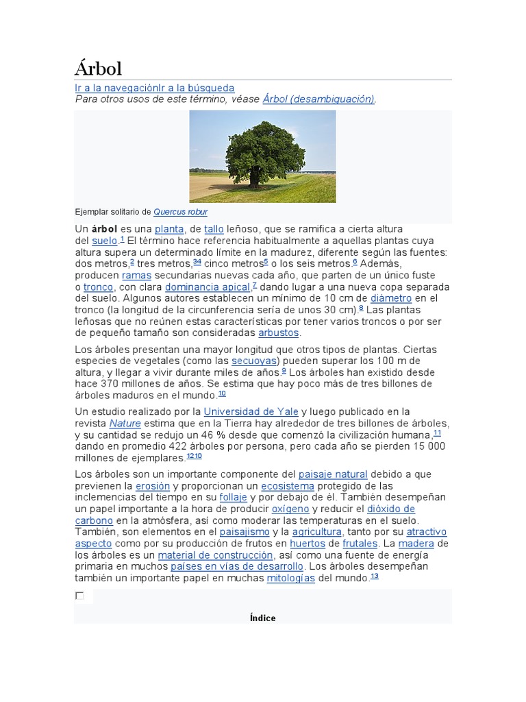 Arbol Definicion 01 | PDF | Arboles | Hoja