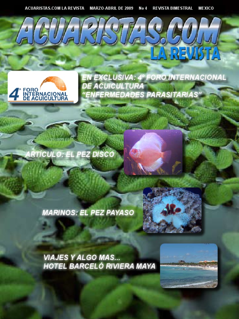 Acuario Paso A Paso | PDF | Acuario | Animales acuáticos