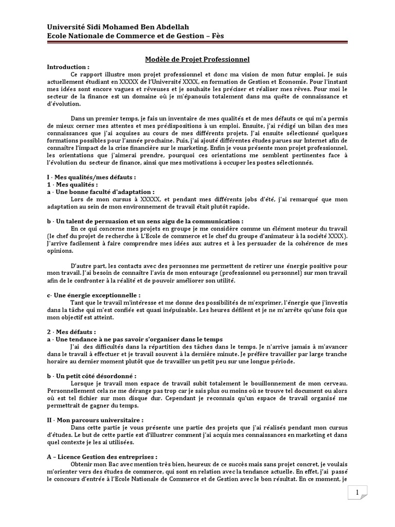 Projet professionnel en marketing étudiant | PDF | Commercialisation ...