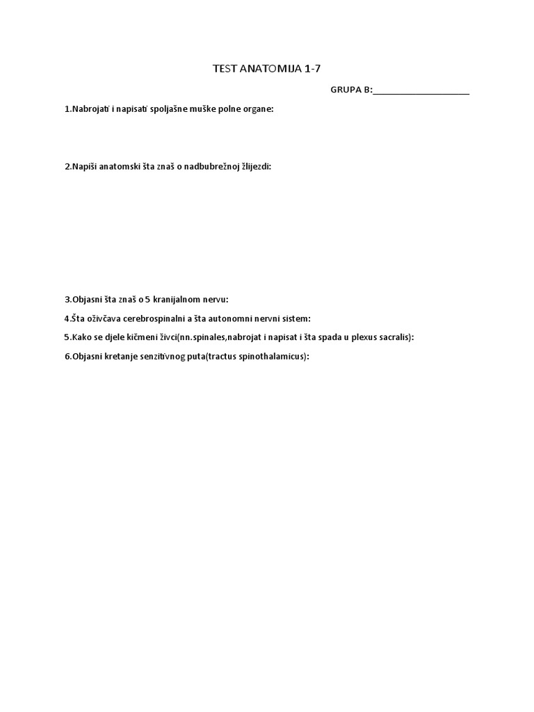Test Anatomija 1-7 Grupa B (DR Djajić Bogdan) | PDF