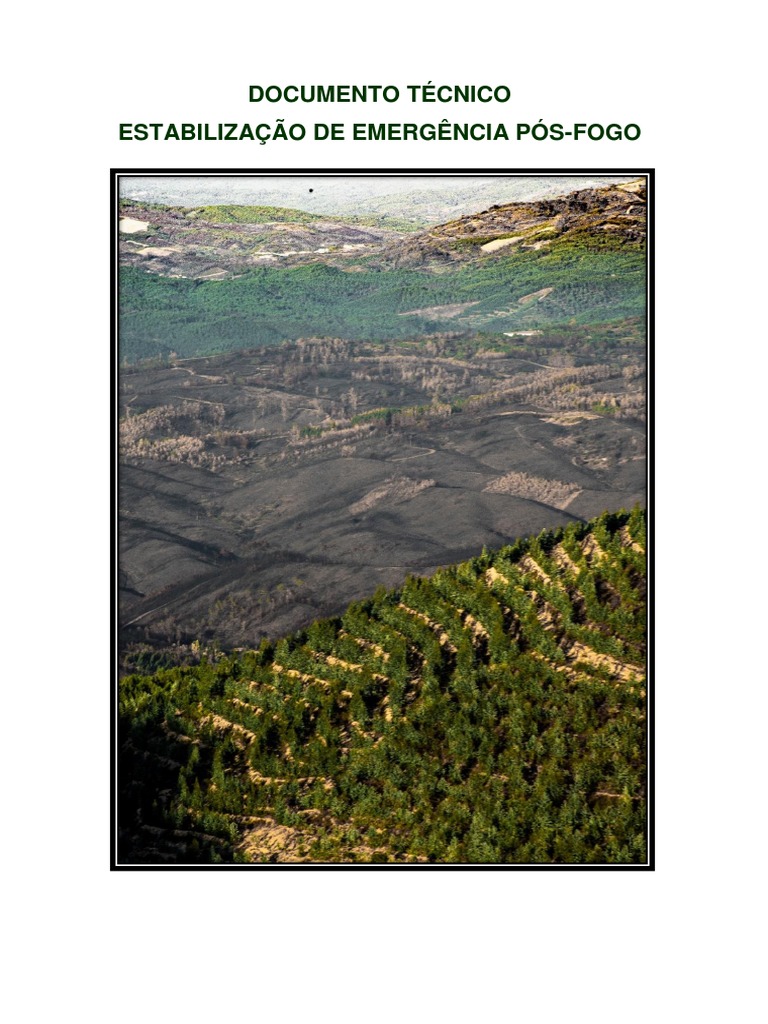 Relatório Pós-Fogo OTI v8.0 | PDF | Erosão | Solo