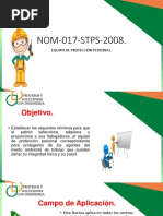 Nom 017 STPS 2008 | PDF