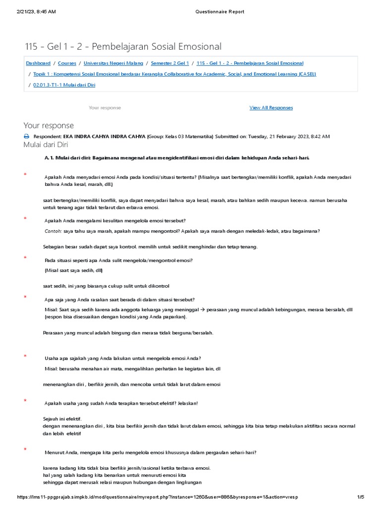 Questionnaire Report PSE | PDF