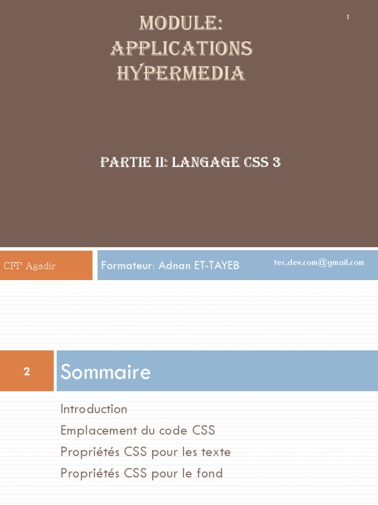 CSS 3 Partie 1 | PDF | Html | Langage de balisage